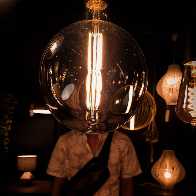 Leading Different Lightbulbs: A capacity tool that will set your team ...